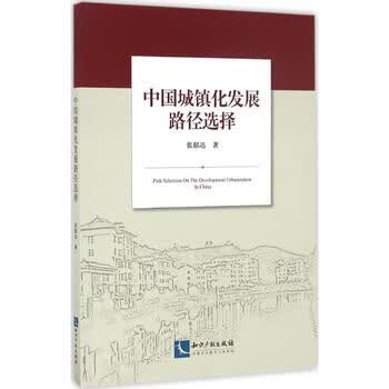 中国城镇化发展路径选择