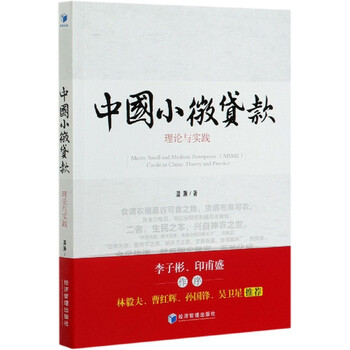 中国小微贷款(理论与实践)
