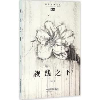 视线之下 王晓松   书籍