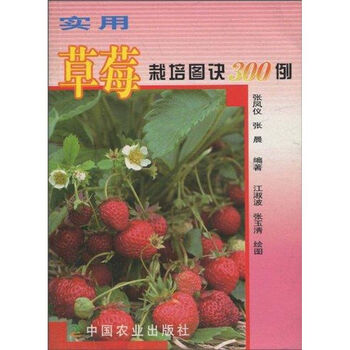 实用草莓栽培图诀300例 张凤仪//张晨 作 书籍