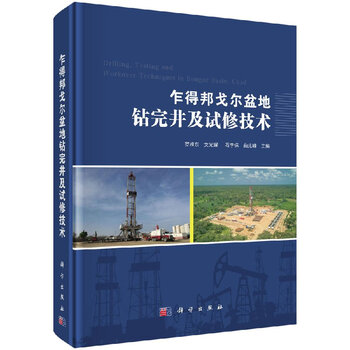 乍得邦戈尔盆地钻完井及试修技术
