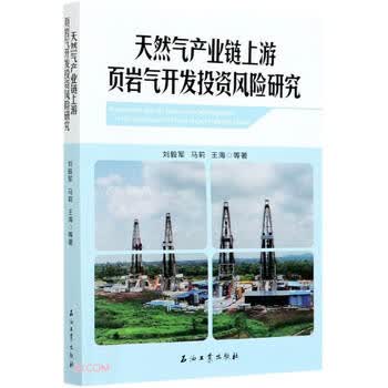 天然气产业链上游页岩气开发投资风险研究