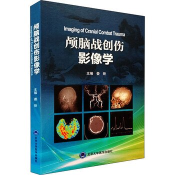 颅脑战创伤影像学 娄昕 编 书籍