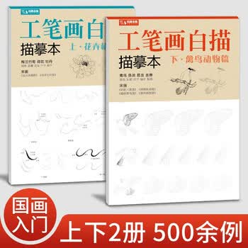 经典全集 工笔画白描描摹本上下2册/基础训练篇+强化提高篇 花卉植物禽鸟动物绘画临摹本入门零基础