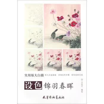 设色锦羽春晖