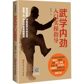 武学内劲入门实操指导刘永文 