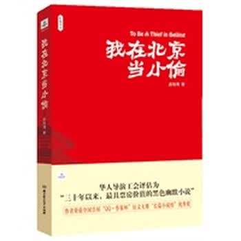 我在北京当小偷 庄旭清