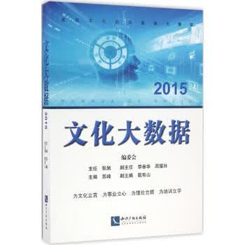 文化大数据2015