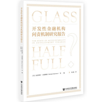 开发性金融机构问责机制研究报告