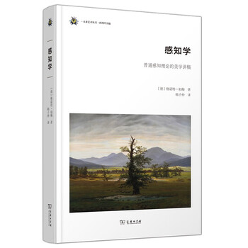 感知学——普通感知理论的美学讲稿（未来艺术丛书）