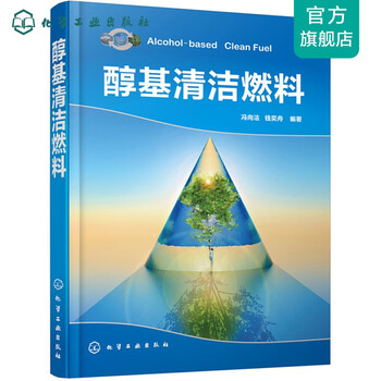 醇基清洁燃料