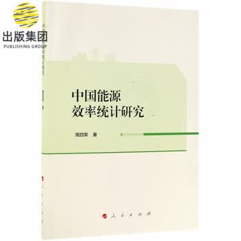 中国能源效率统计研究