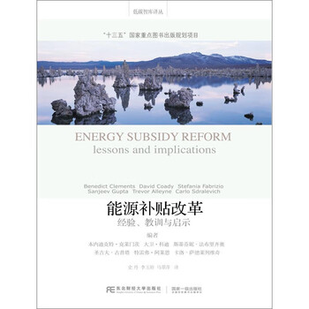 能源补贴改革 经验教训与启示/低碳智库译丛