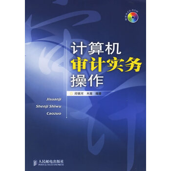 计算机审计实务操作【正版图书】