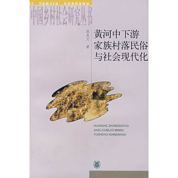 正版 黄河中下游家族村落民俗与社会现代化中国乡村研究丛书 段友文　著 中华书局