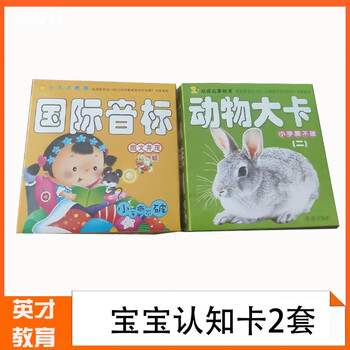 国际音标图文并茂彩色版+动物大卡 大图大字