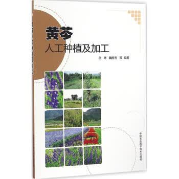 黄岑人工种植及加工
