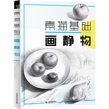 素描基础  画静物