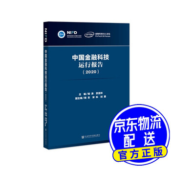 中国金融科技运行报告（2020）
