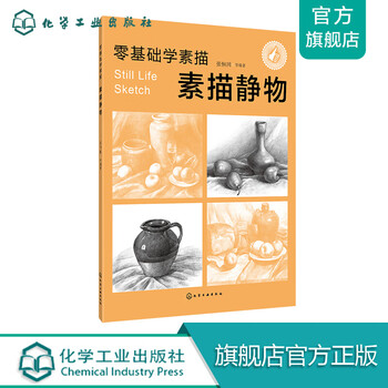零基础学素描——素描静物