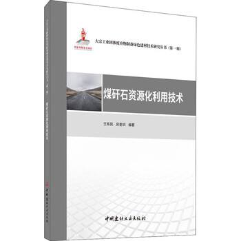 煤矸石资源化利用技术 图书