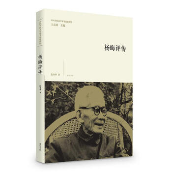 杨晦评传 王岳川 传记 9787546154008