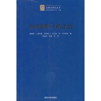 全球视野下的法治【正版图书，放心下单】