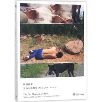 眼前往事 刘小东  书籍