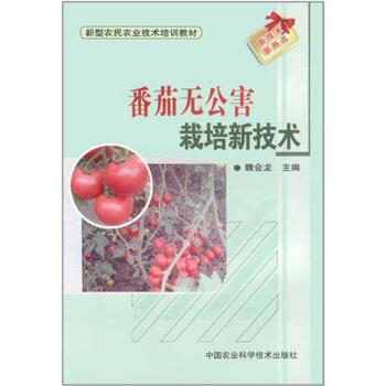 番茄无公害栽培新技术