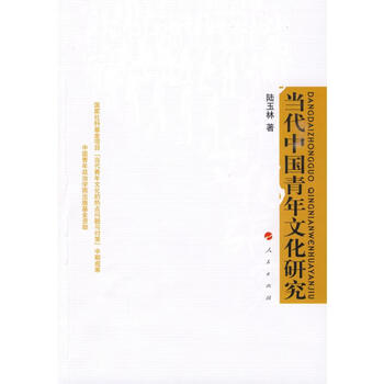 当代中国青年文化研究