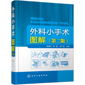 外科小手术图解【正版图书】