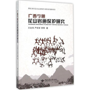 广西宁明花山岩画保护研究