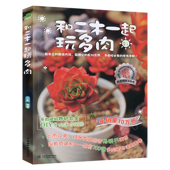 和二木一起玩多肉