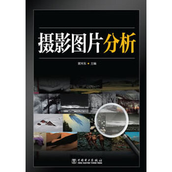 摄影图片分析 中国电力出版社 9787512340138 董河东