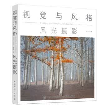 视觉与风格 风光摄影董冬人民邮电出版社9787115518217 摄影书籍