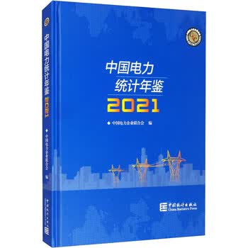 中国电力统计年鉴 2021 图书