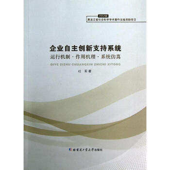 企业自主创新支持系统 杜军 作 书籍