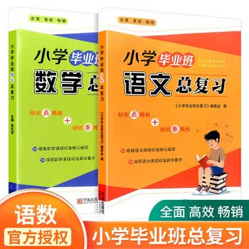 小学毕业班总复习语文数学英语科学六年级下册资料辅导书小升初必刷题升学专项训练真题模拟测试 语文+数学