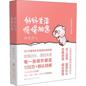 好好生活 慢慢相遇 林帝浣  书籍