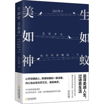 生如蚁 美如神 怎样平凡而有诗意地过一生 宗白华  书籍