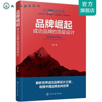 品牌崛起：成功品牌的顶层设计