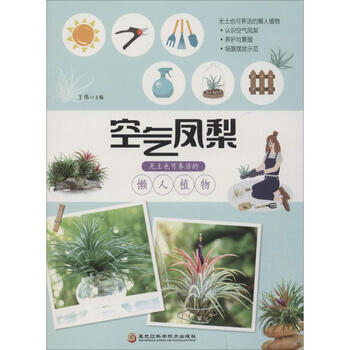 空气凤梨 无土也可养活的懒人植物