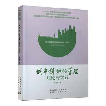城市精细化管理理论与实践