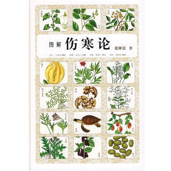 图解伤寒论【正版图书】