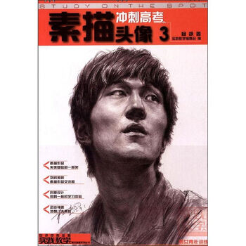 素描头像(3) 杨飙  书籍