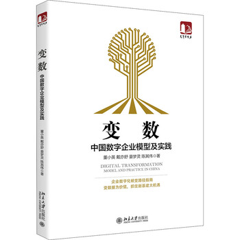 变数 中国数字企业模型及实践 董小英 等  书籍