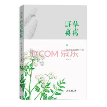 野草离离(角落中的绿色诗篇)/自然感悟