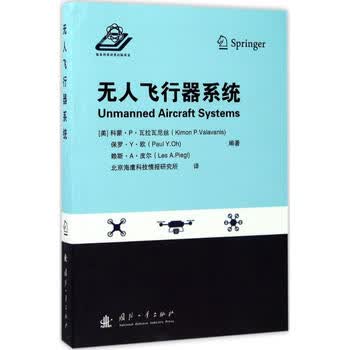 无人飞行器系统