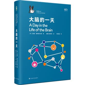 大脑的一天