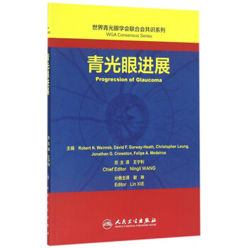 青光眼进展/世界青光眼学会联合会共识系列